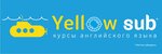 Yellow Sub (Solnechnaya Street No:3), yabancı dil kursları  Jukovski'den