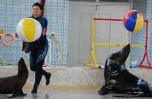 Otel Gostevoy dom V gostyakh u Valeriya Viktorovicha, Kırım Cumhuriyeti, foto