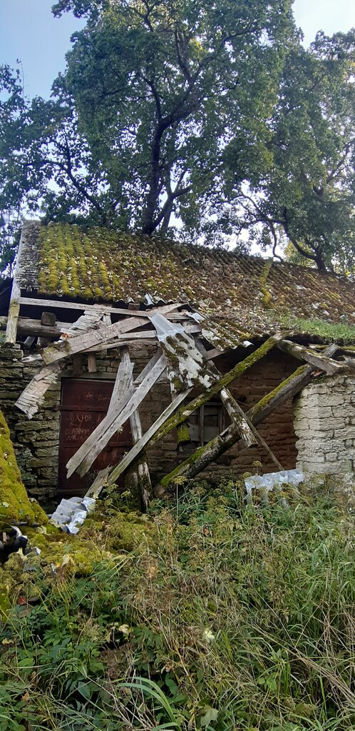Turistik yerler Хозяйственная постройка, Saint‑Petersburg ve Leningradskaya oblastı, foto