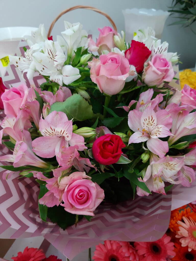 Çiçekçiler Wisteria Penza, Penza, foto