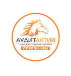 AuditAktiv (Moskovskiy Avenue No:212), muhasebeciler  Saint‑Petersburg'dan
