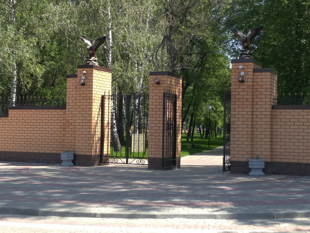 Stadyum Avangard Stadium, Voronejskaya oblastı, foto