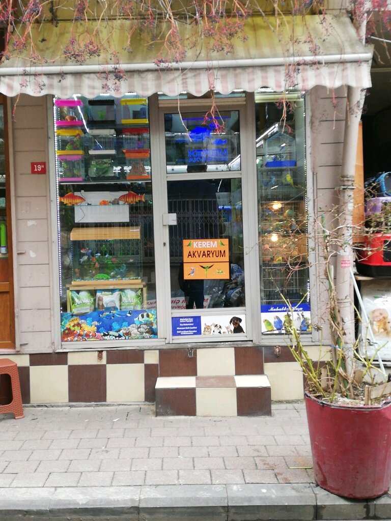 Petshop Kerem Akvaryum, İstanbul, foto