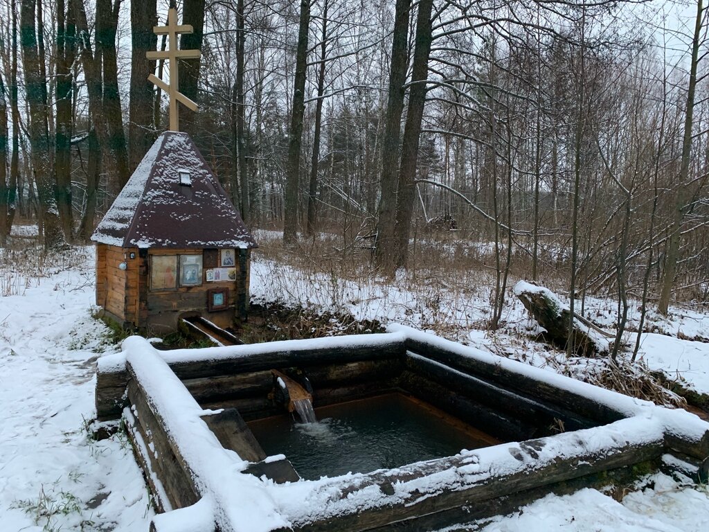 Kuyu Родник, Moskova ve Moskovskaya oblastı, foto