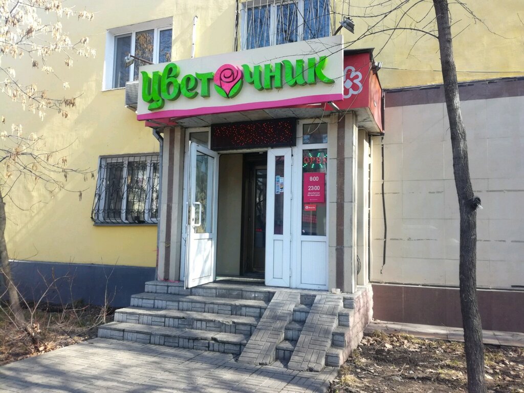 Çiçekçiler Gollandsky tsvetochnik, Almatı, foto