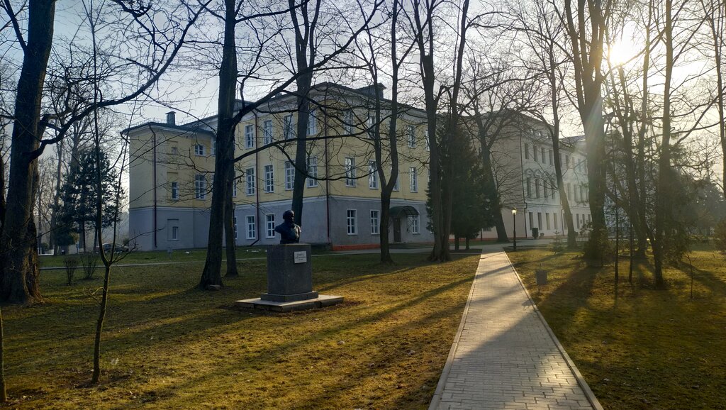 Anıt, heykel И.А. Стебуту, Gorki, foto