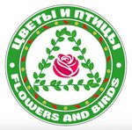 Cvety i Pticy (Mitrofana Sedina Street No:163, Tsentralniy Microdistrict), çiçekçiler  Krasnodar'dan