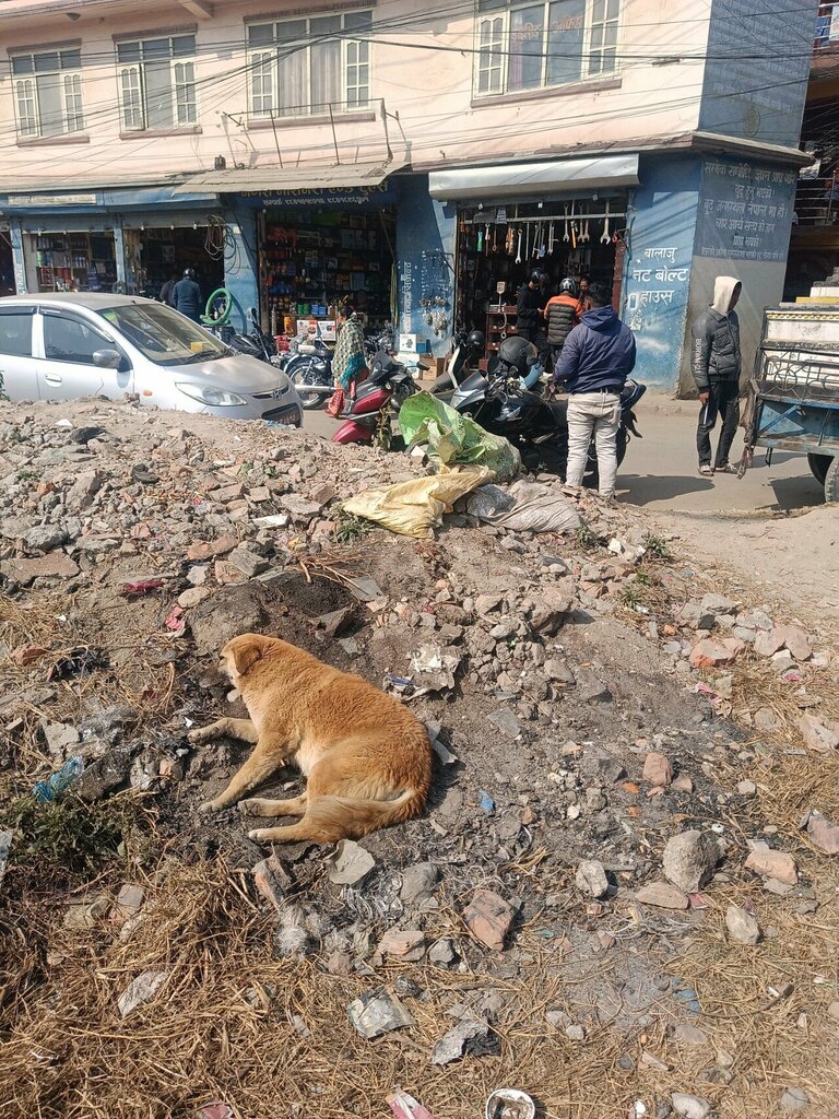 Balaji nut bolt house, hardware store, Kathmandu, Ward 16 — Yandex Maps