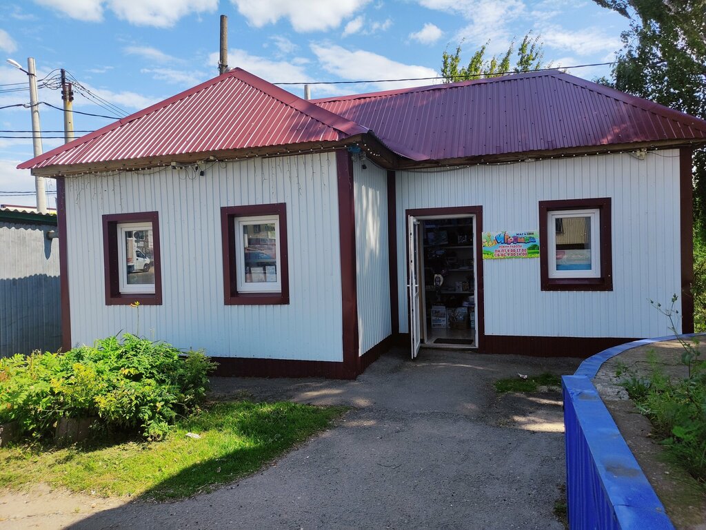 Çocuk oyunları ve oyuncakları НеБурый мишка, Samarskaya oblastı, foto