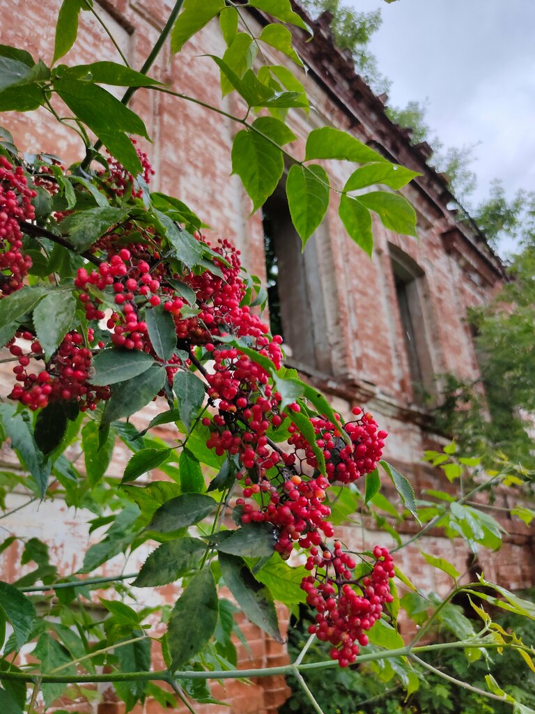 Turistik yerler Усадьба П.И. Рычкова, Orenburgskaya oblastı, foto