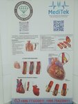 Bishkek Cardio (Krivonosov Street No:152), tıp merkezleri ve klinikler  Bişkek'ten