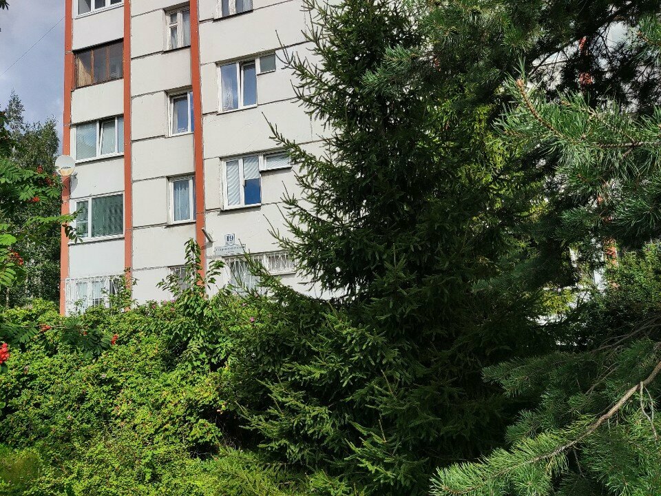 Bina, site yönetimi TSZh Vesta-6, Saint‑Petersburg, foto