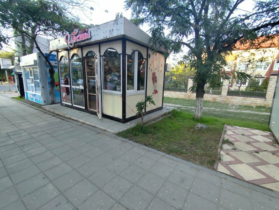 Çiçekçiler Мир цветов, Makhachkala, foto