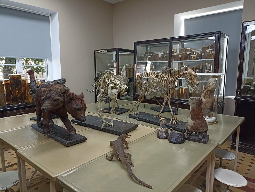 Müzeler ve sanat galerileri Музей патологической анатомии, Saint‑Petersburg, foto