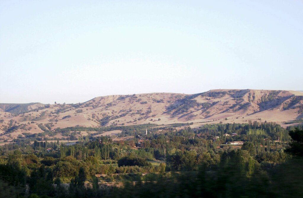 Muhtarlıklar Çambükü Köy Muhtarlığı, Taşova, foto