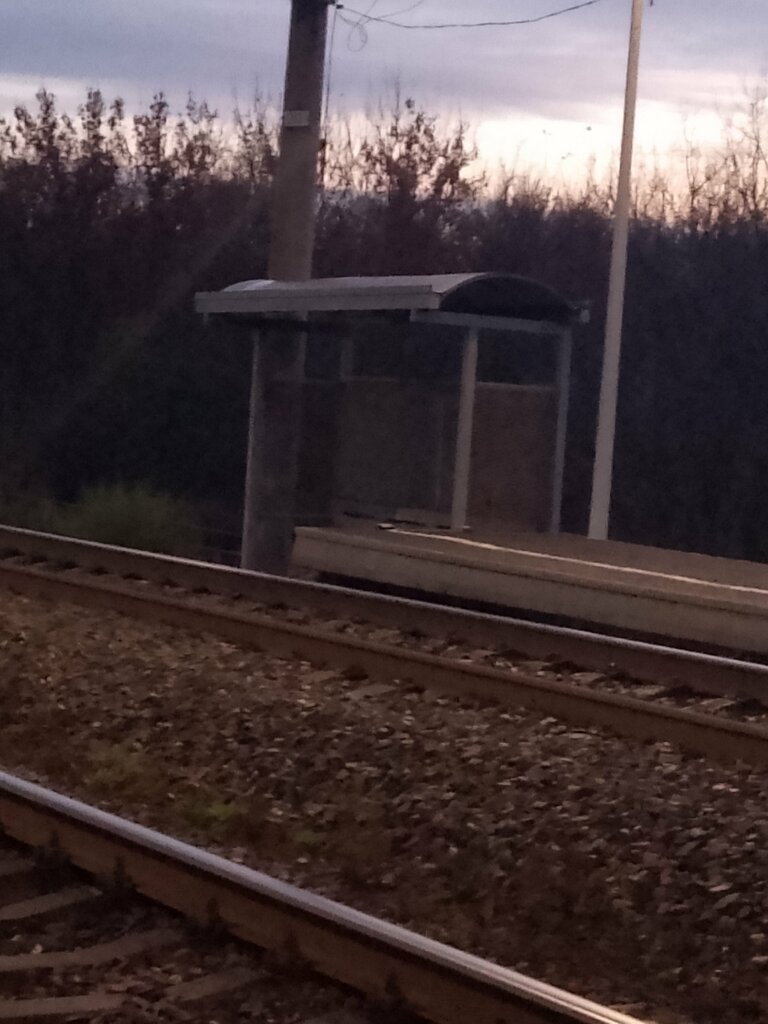 Tren istasyonu остановочный пункт 547 километр, Kurskaya oblastı, foto