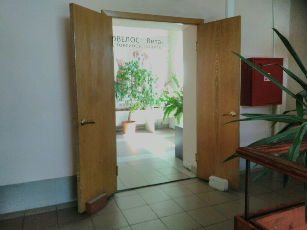 Elektroteknik ürün ve ekipman firmaları Ecocremny, Moskova, foto