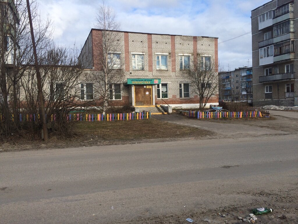Kütüphaneler Центральная детская библиотека им. Ф.Ф. Павленкова, Krasnovişersk, foto