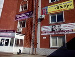Study (40 Let Pobedy Street No:14), yabancı dil kursları  Tolyatti'den (Togliatti'den)