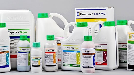 Tarım ilacı firmaları Syngenta, Tiumen, foto