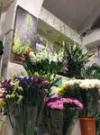 Il Mio Fioraio (Apulia, Bari, Corato, Via Umberto I), çiçek teslimatı  Trani'den