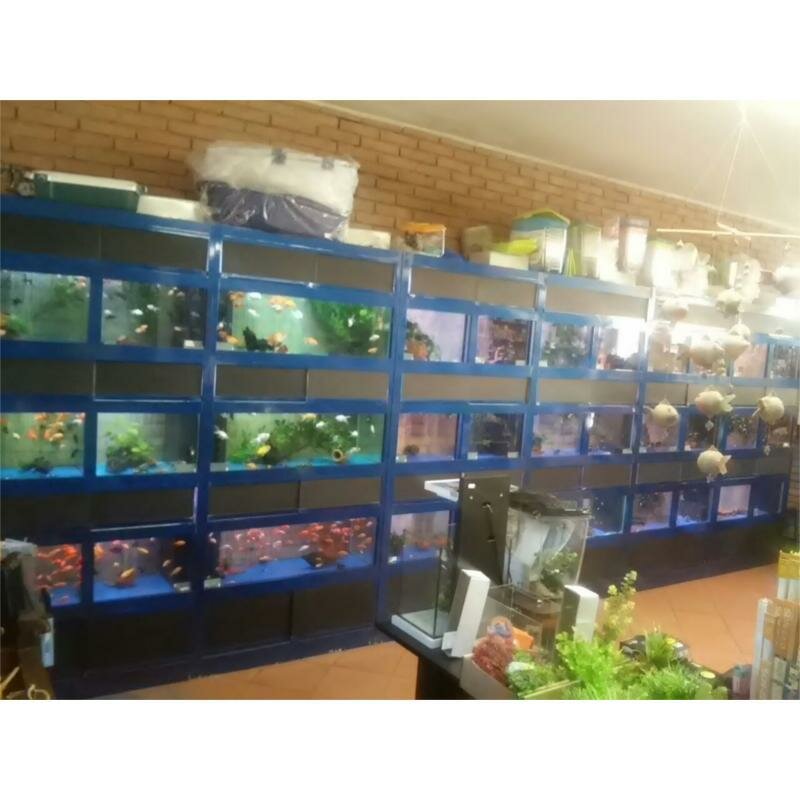 Akvaryumlar Aquarium, Lombardiya, foto