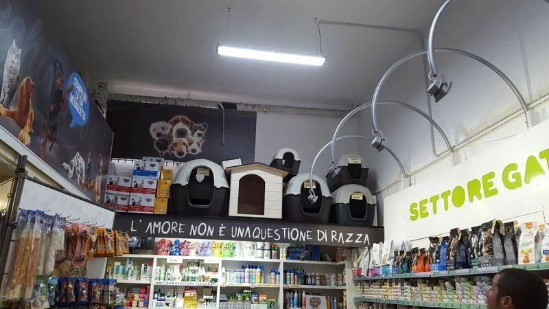 Tarım makineleri, ekipmanlar Alla Vecchia Fattoria, Lecce, foto