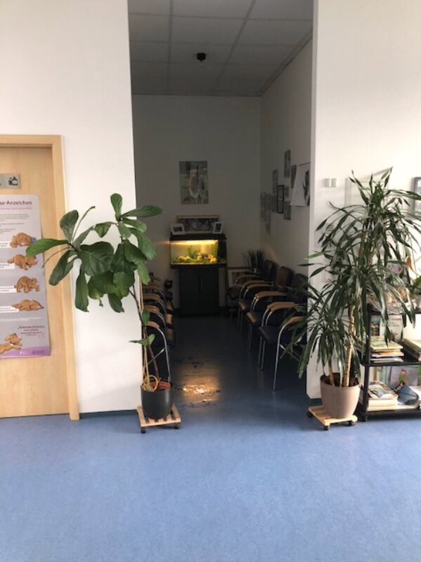 Veteriner klinikleri Tierarztpraxis Dr. med. vet. Sabine Duschner, Bavyera, foto