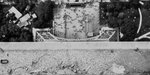 Nardomarino Avv. Nicola (Piazza Marconi Guglielmo No:1, Guastalla), avukatlar  Emilia‑Romagna'dan