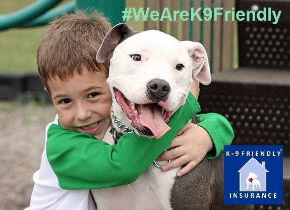 Sigorta şirketleri Farmers Insurance - Marc Sollee, Gilbert, foto