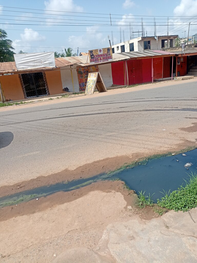 Petshop Lynnat pets and more, Dünya, foto