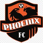 Phoenix (Sovetskaya street No:61), spor kulüpleri  Gelencik'ten
