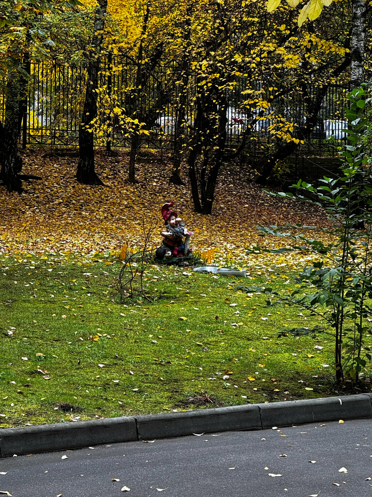 Park, sokak heykeli Садовый гном, Moskova, foto