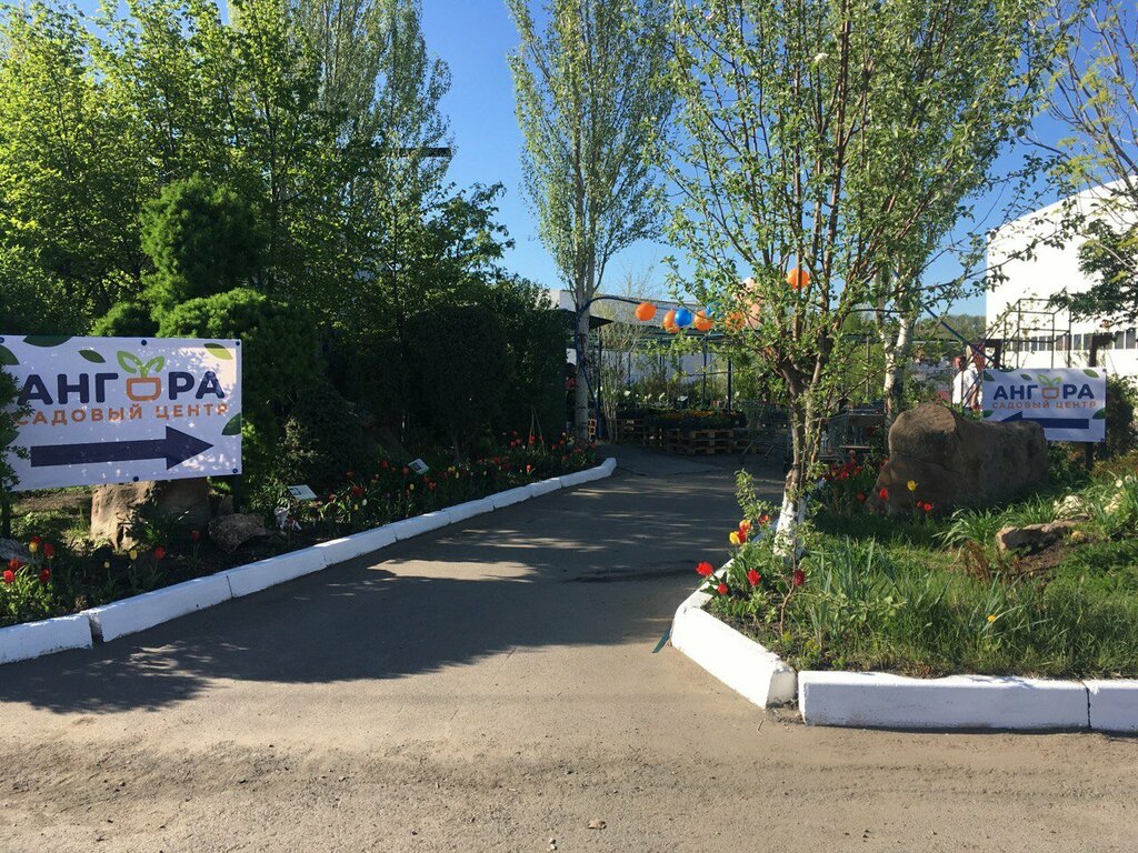 Fidan yetiştiriciliği Садовый центр, Kopeysk, foto