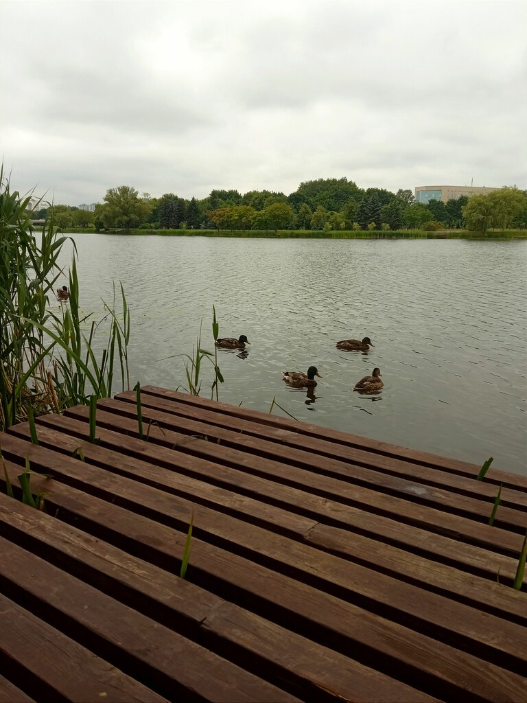 Dekorasyon ve süsleme, onur panosu Экотропа Окно в природу, Minsk, foto