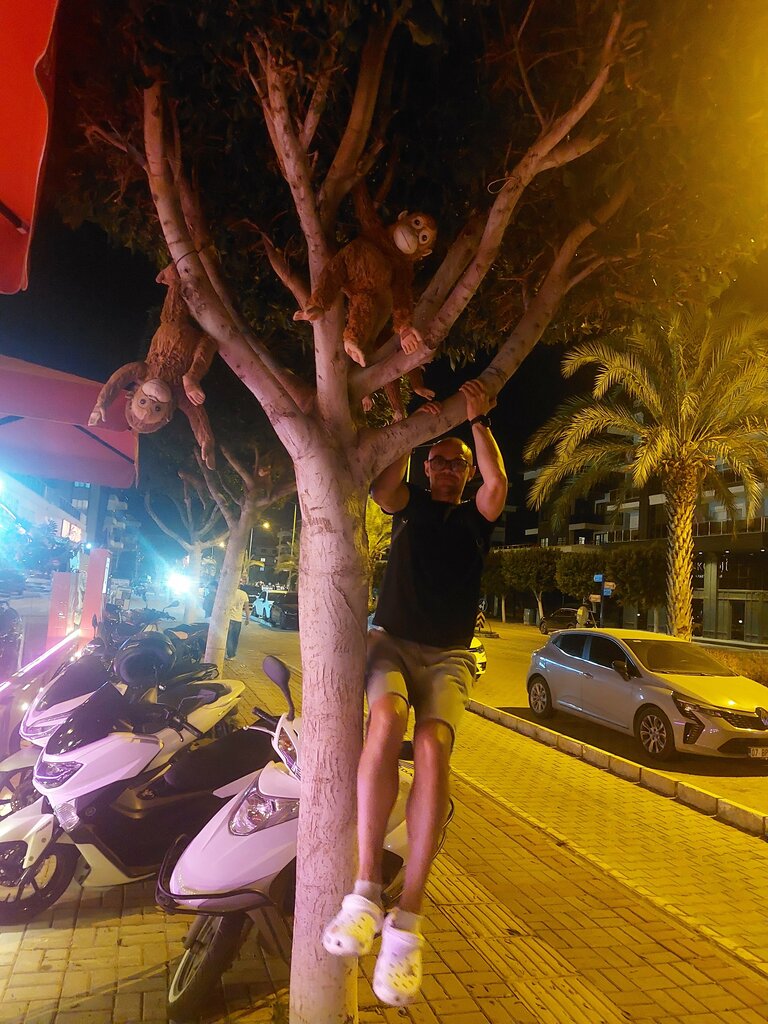 Restoran The Motto Lounge, Alanya, foto