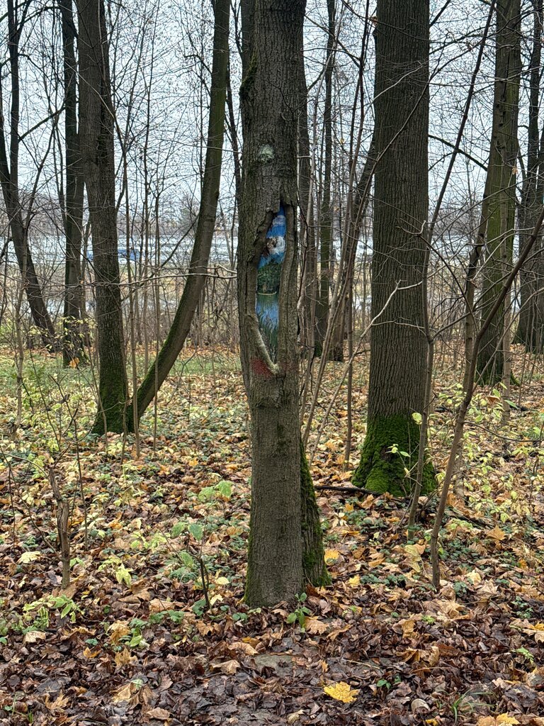 Sokak sanatı Дерево ПаркАрт, пейзаж с видом на Старомарковский пруд, Moskova, foto