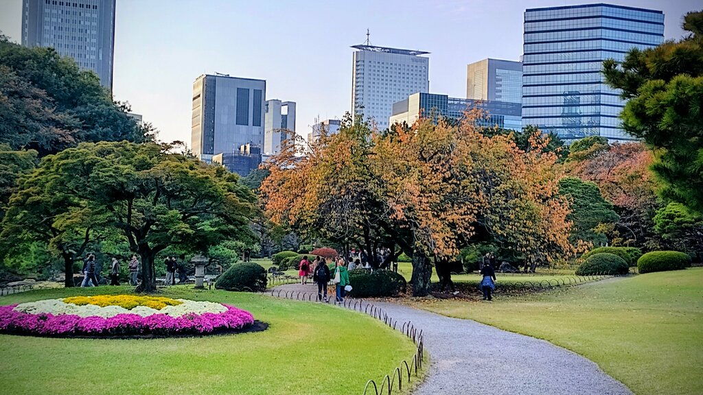 Kültür ve eğlence parkları Shinjuku Central Park, Tokyo, foto