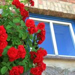 Schilderwerken Gebr Rutten Bv (Vondelstraat No:75, Nijmegen), boya ekipmanları