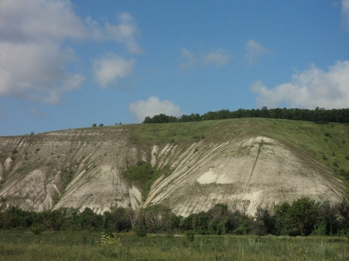 Parklar ve ormanlar Ботанический заказник Меловая гора, Belgorodskaya oblastı, foto