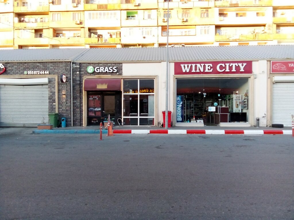 Otomobil yedek parçaları Grass, Bakü, foto