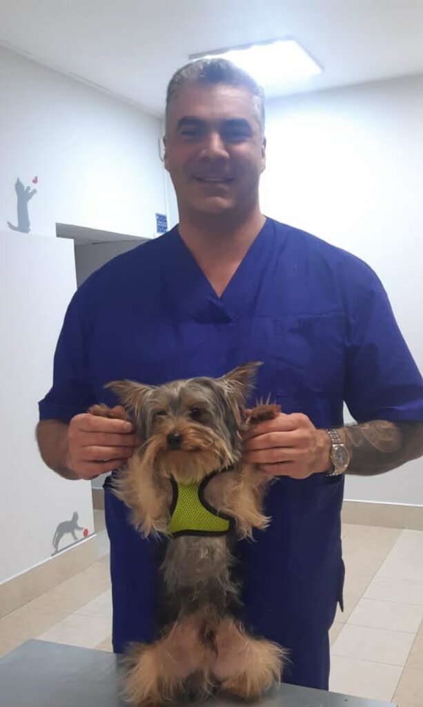Veteriner klinikleri Котопёс, Kaliningrad, foto