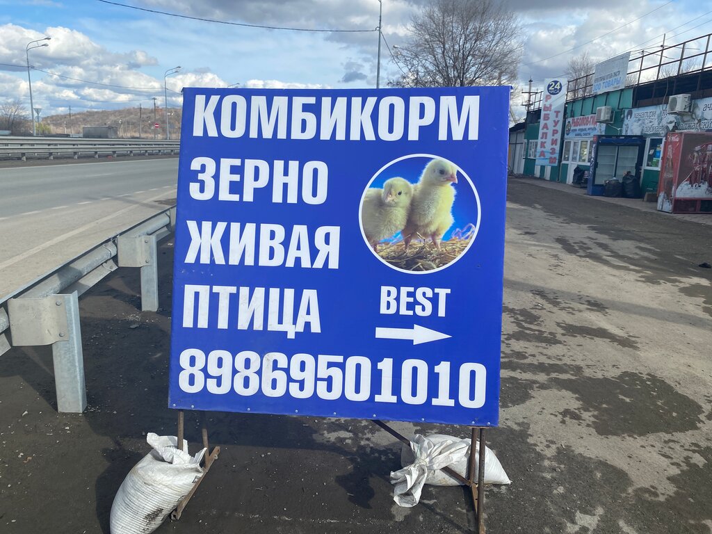 Yem ve yem katkı maddeleri Комбикорм, Samarskaya oblastı, foto