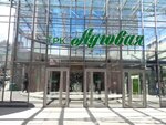 Ermak (Verkhneportovaya Street No:76А), tavan sistemleri  Vladivostok'tan