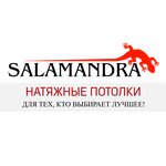 Salamandra (prospekt Druzhby No:83А), tavan sistemleri  Voljski'den