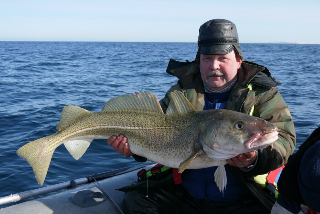 Tatil köyleri Nordseaman, Murmanskaya oblastı, foto