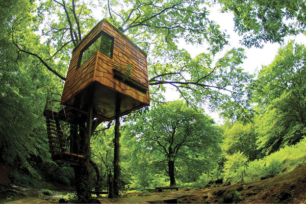 i̇nşaat firmaları MikeGrape Company - Treehouses, Krasnoyarski krayı, foto