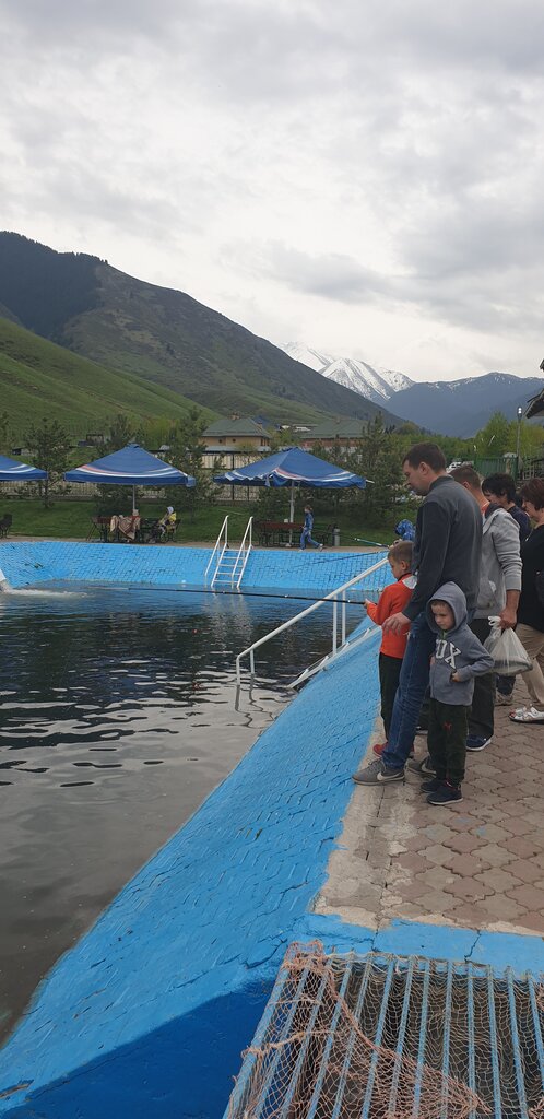 Balık çiftçiliği ve toptancıları Forel Farm, Almatı eyaleti, foto