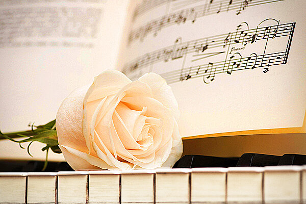 Kültür ocakları Дом культуры, Nenets özerk okrugu, foto