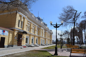 Amur Regional Children's Library (Bogdana Khmelnitskogo Street No:1Б), kütüphaneler  Blagoveshchensk'ten
